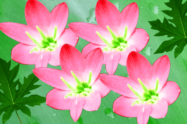 Beautiful Solid Color Backgrounds: 1000+ Free Download Vector, Image ...